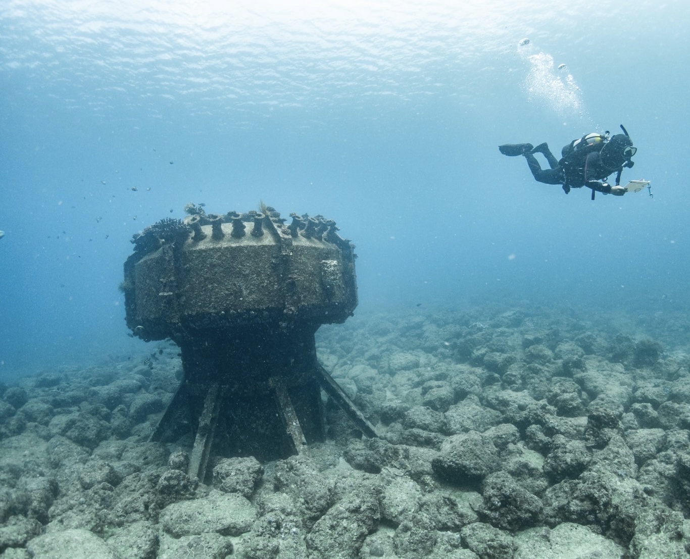 Sunabe | TEAL ORANGE DIVING ( TOD ) in Nago , Okinawa / Scuba Diving Center